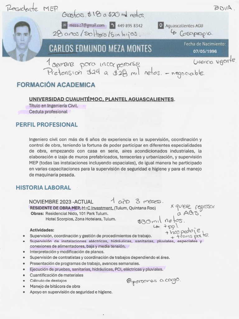 CV Carlos Meza | PDF