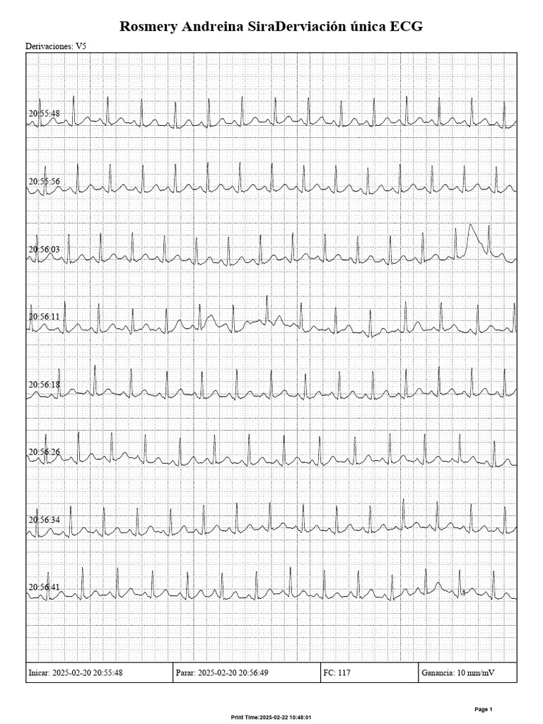 Rosmery Sira 1 (1) | PDF