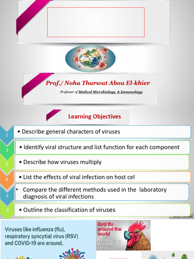 Noha Introduction Virology Manchester - 2024 | PDF | Virus | Immunology