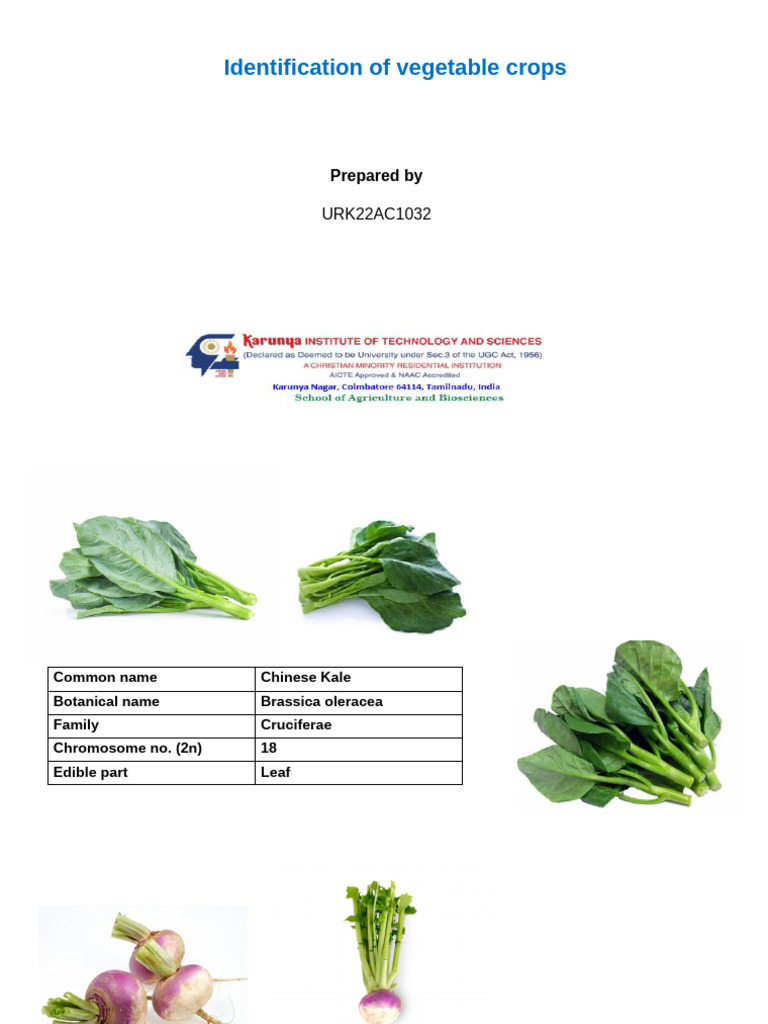 Horticulture Project | PDF