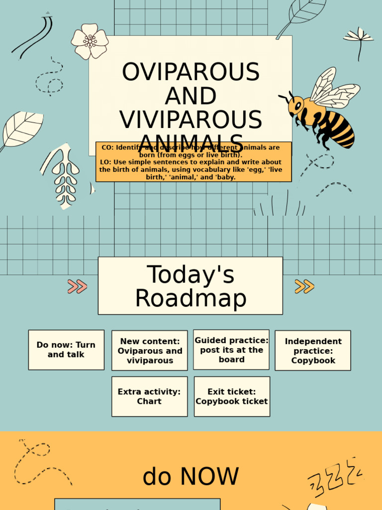 Oviparous vs. Viviparous Animals Explained | PDF | Egg | Biological ...