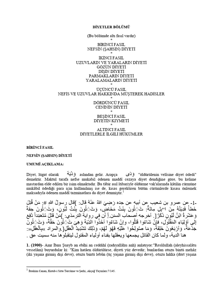 Kutubu Sitte Cilt 7 | PDF