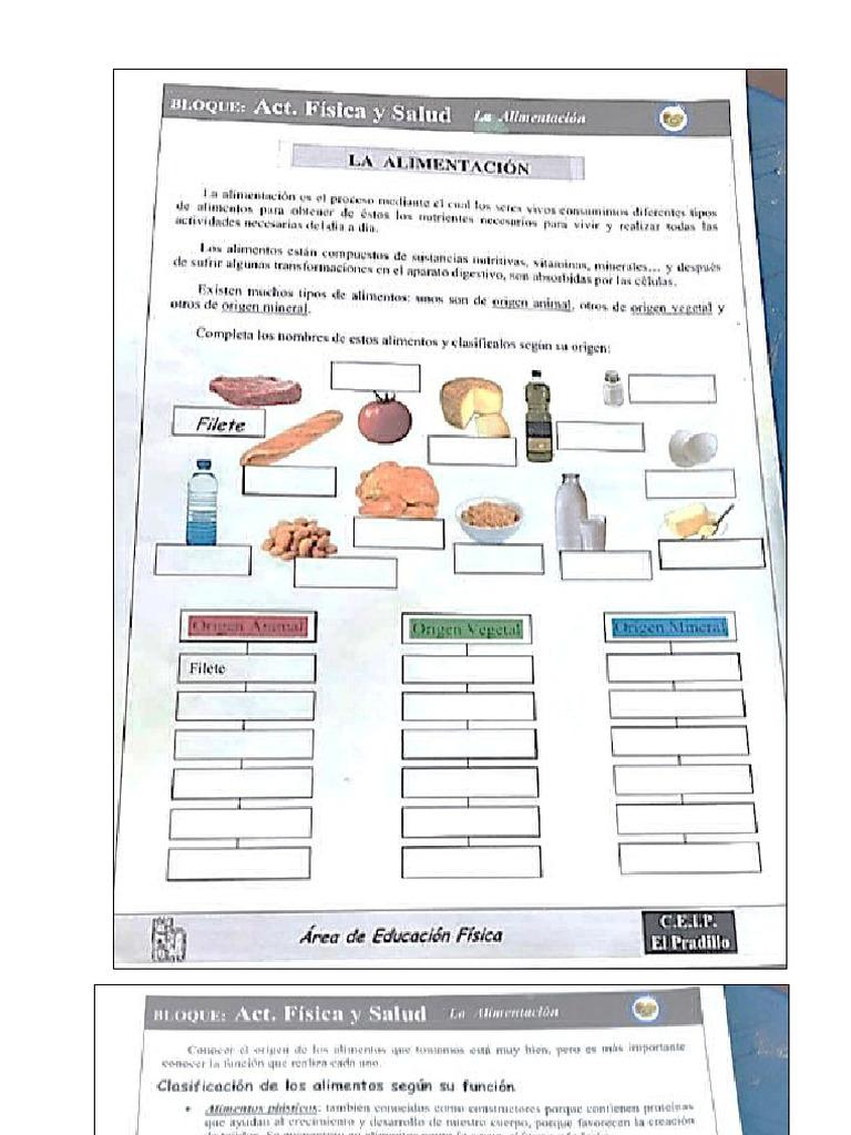 Justificacion de Faltas | PDF