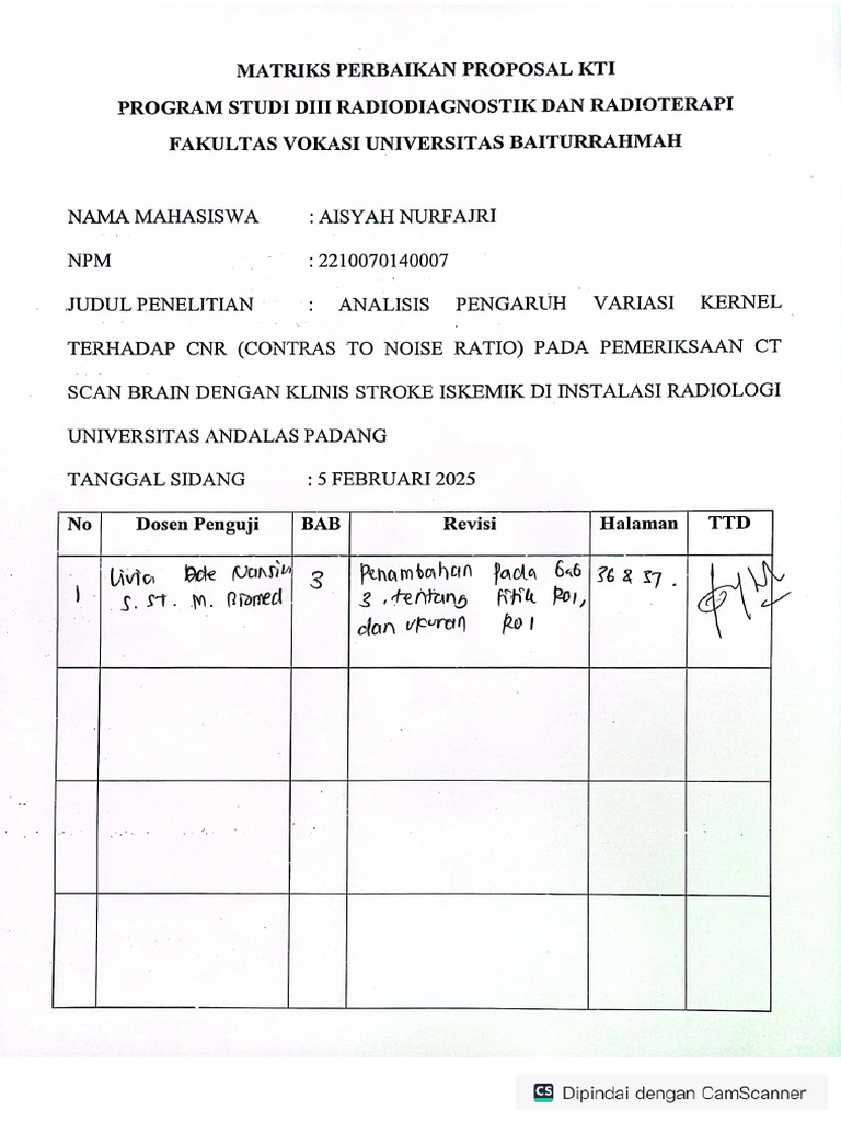 Matriks Perbaikan Proposal | PDF