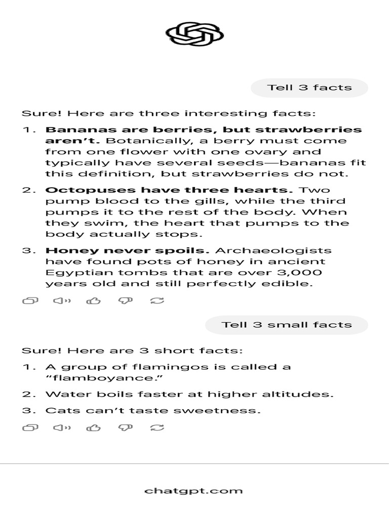 Interesting Facts Summary | PDF