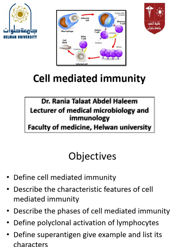 Overview of Cell Mediated Immunity | PDF | T Helper Cell | T Cell