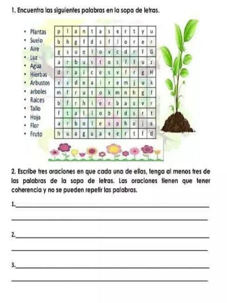Sopa de Letras Plantas | PDF