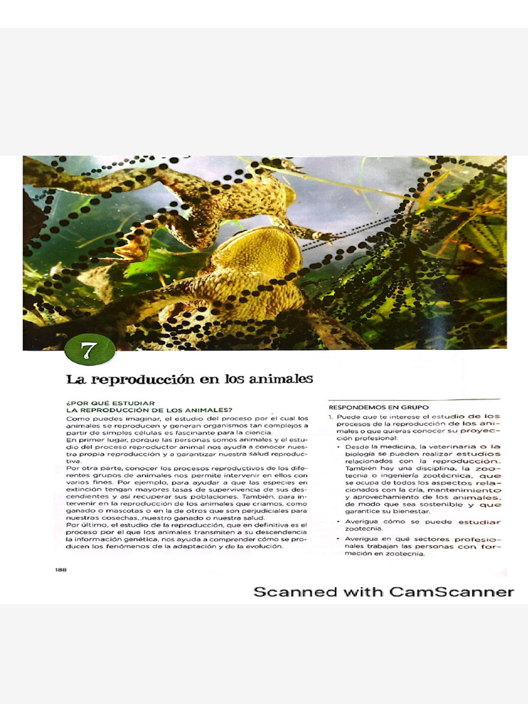 capturas_convertidas | PDF