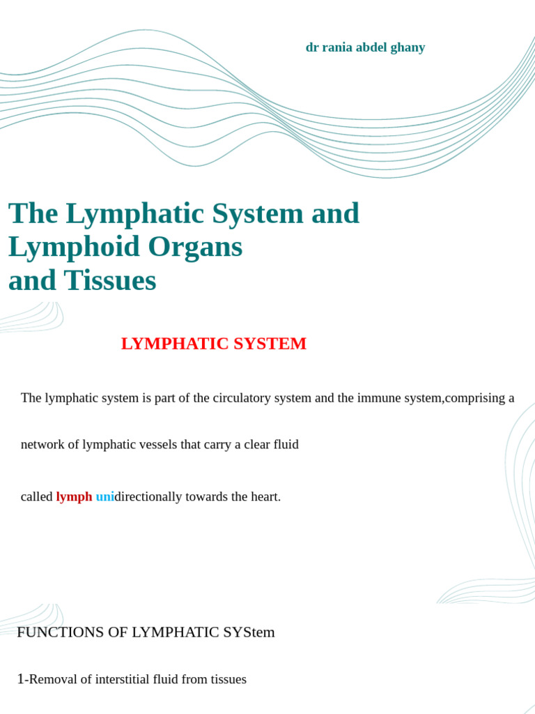 Understanding the Lymphatic System | PDF | Lymphatic System | Lymph