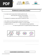 Contrôle SVT 2AC Semestre 2 avec Corrigé | PDF | Système reproducteur ...