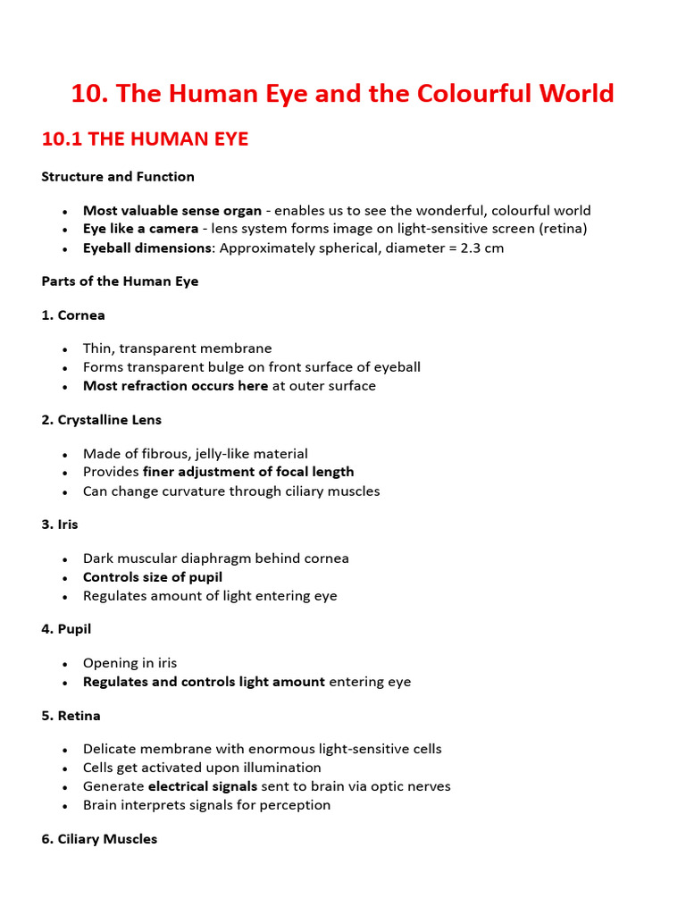 Human Eye: Structure and Function | PDF | Eye | Human Eye