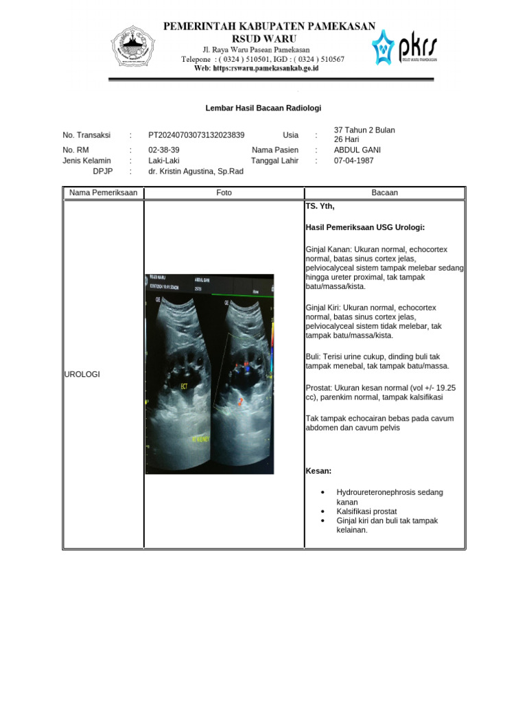 Lembar Hasil Bacaan Radiologi | PDF