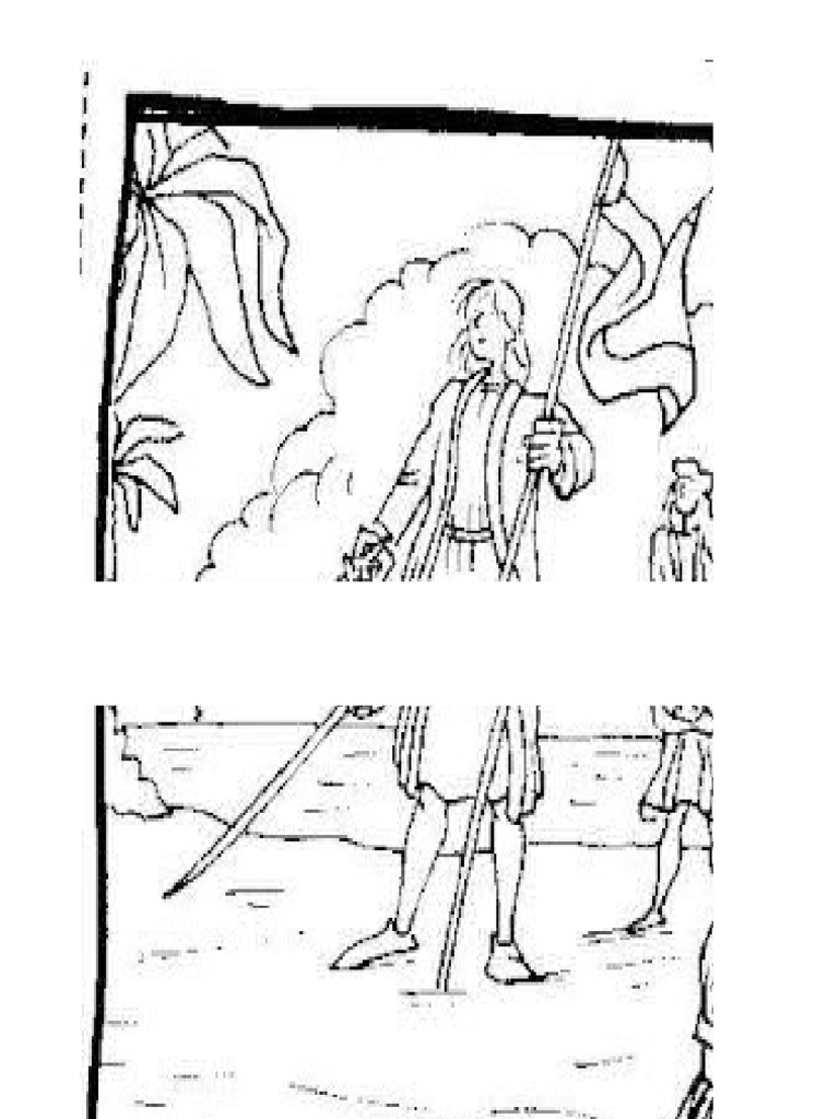 Cati | PDF