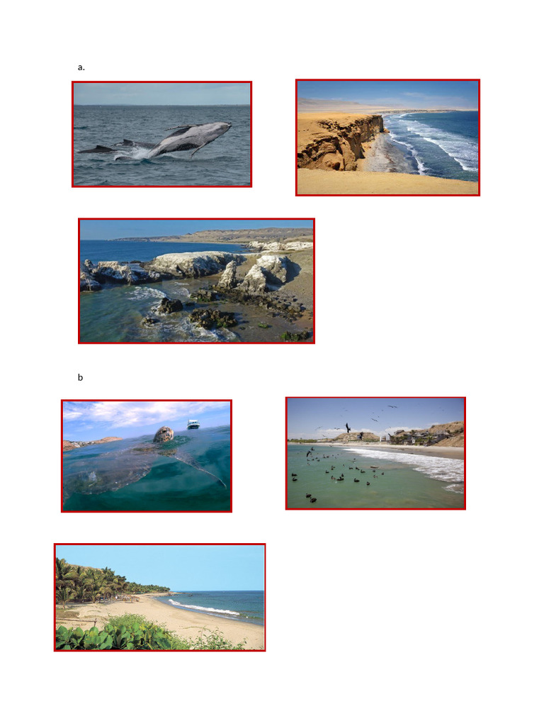 Ecor Region Es | PDF