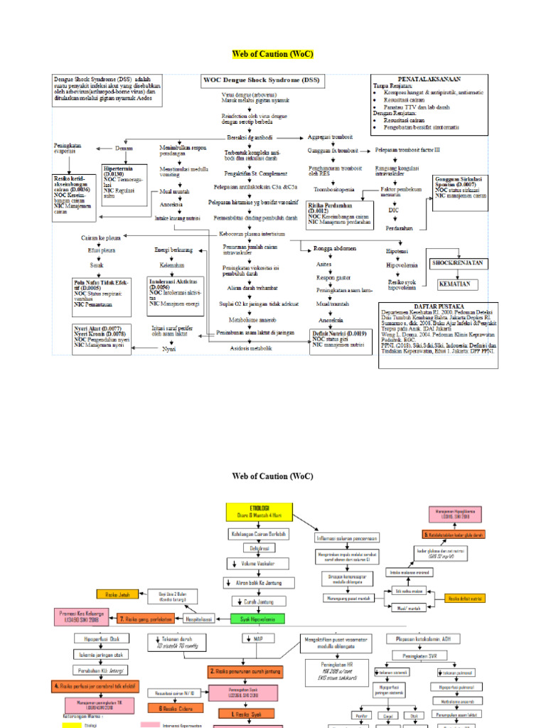 Web of Caution | PDF