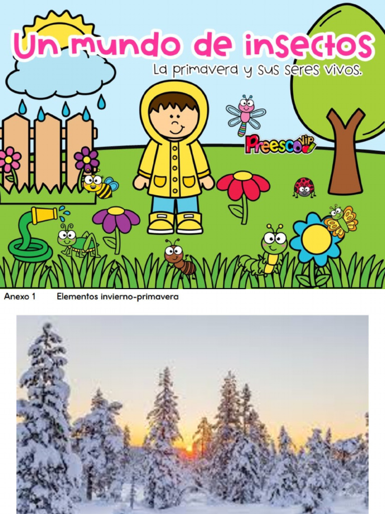 Anexos Powerpoint Proyecto Mundo de Insectos | PDF