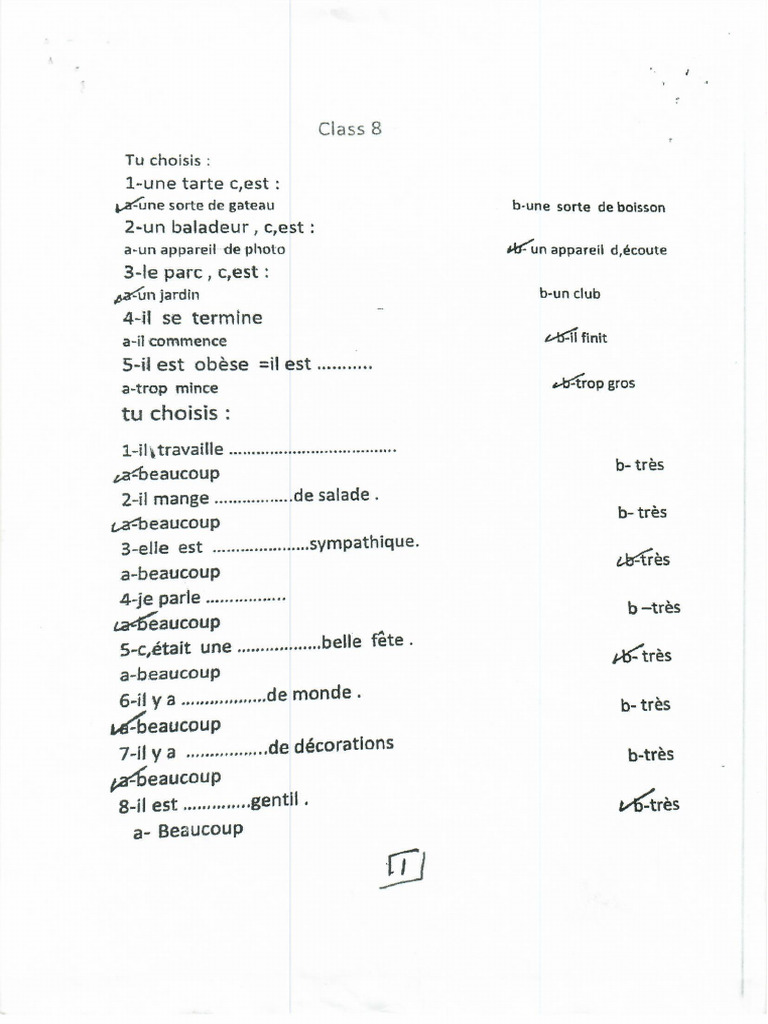 Pes W French Revision Papers GR 8 First Term 2025-2026 | PDF