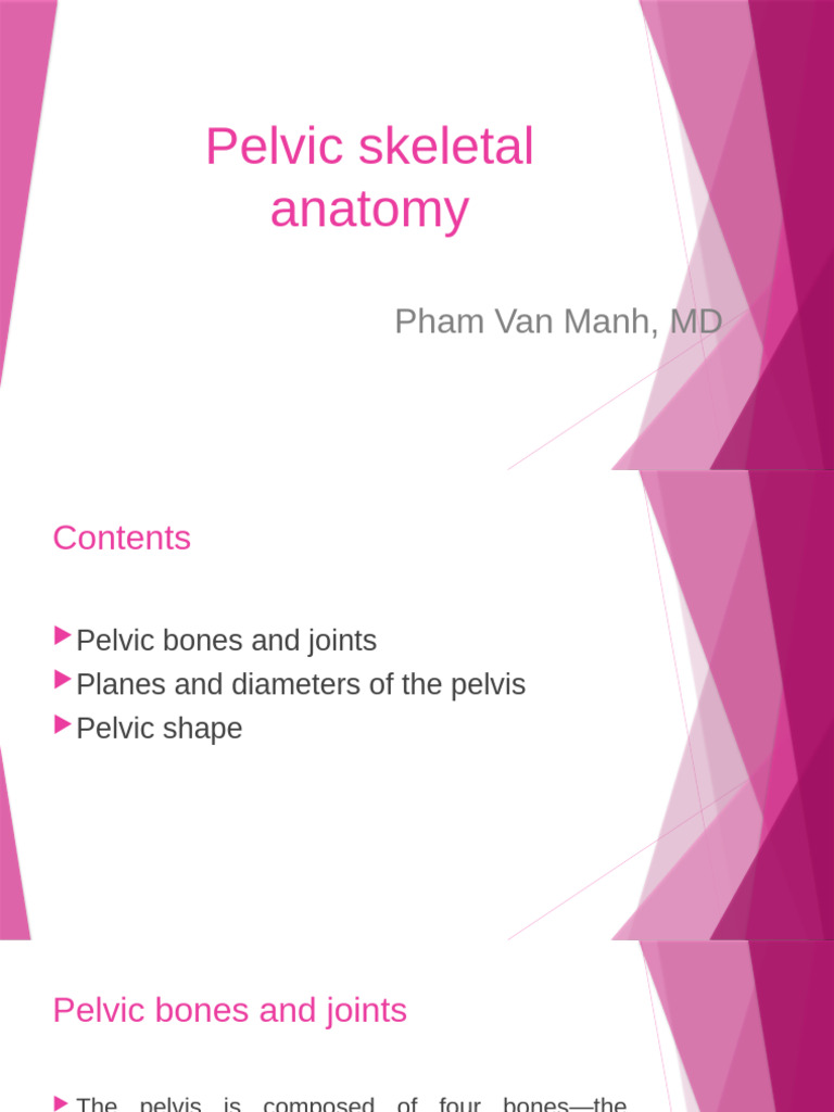 Understanding Pelvic Anatomy and Dimensions | PDF | Pelvis | Skeletal ...