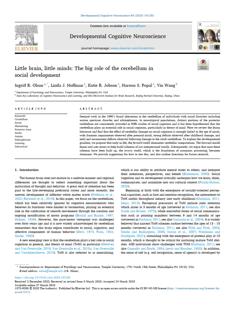 Little Brain Little Minds The Big Role of The C 2023 Developmental ...