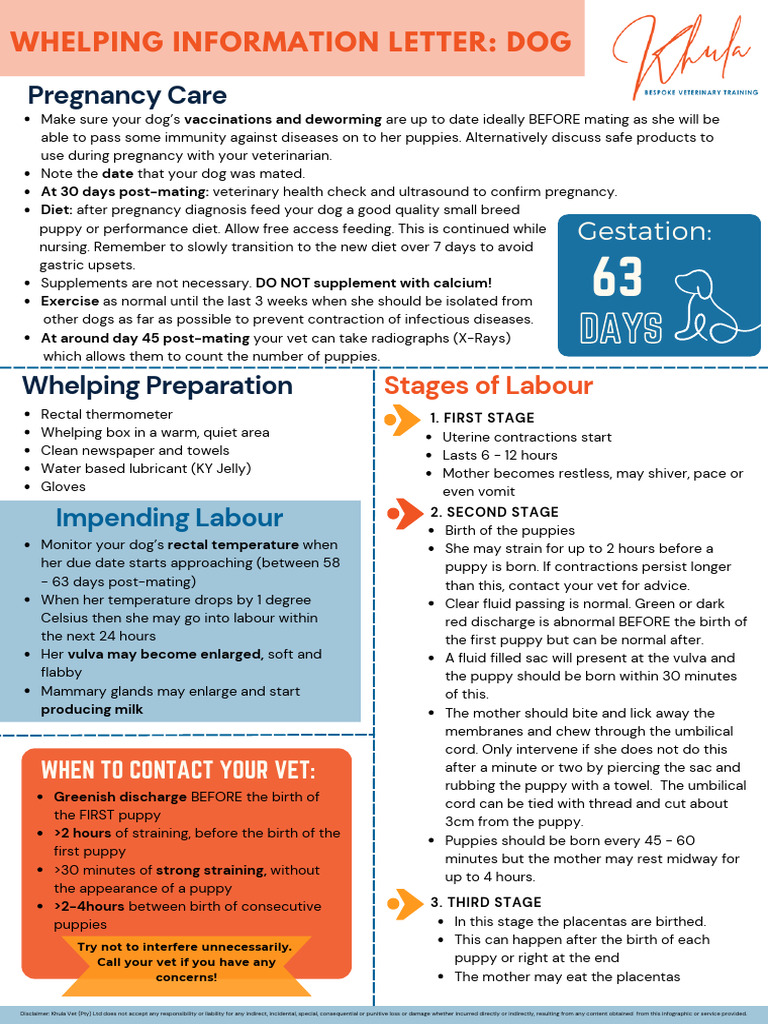 Khula Vet Dog Whelping Information Letter | PDF | Pregnancy | Dogs