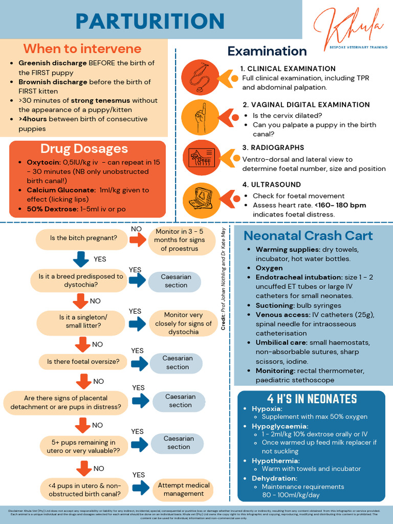 Khula Vet: Drug Dosages for Parturition | PDF | Human Reproduction ...