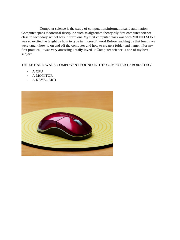 My First Computer Science Practical | PDF