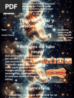 Guía Integral para Lesión Medular | PDF | Lesión de la médula espinal ...