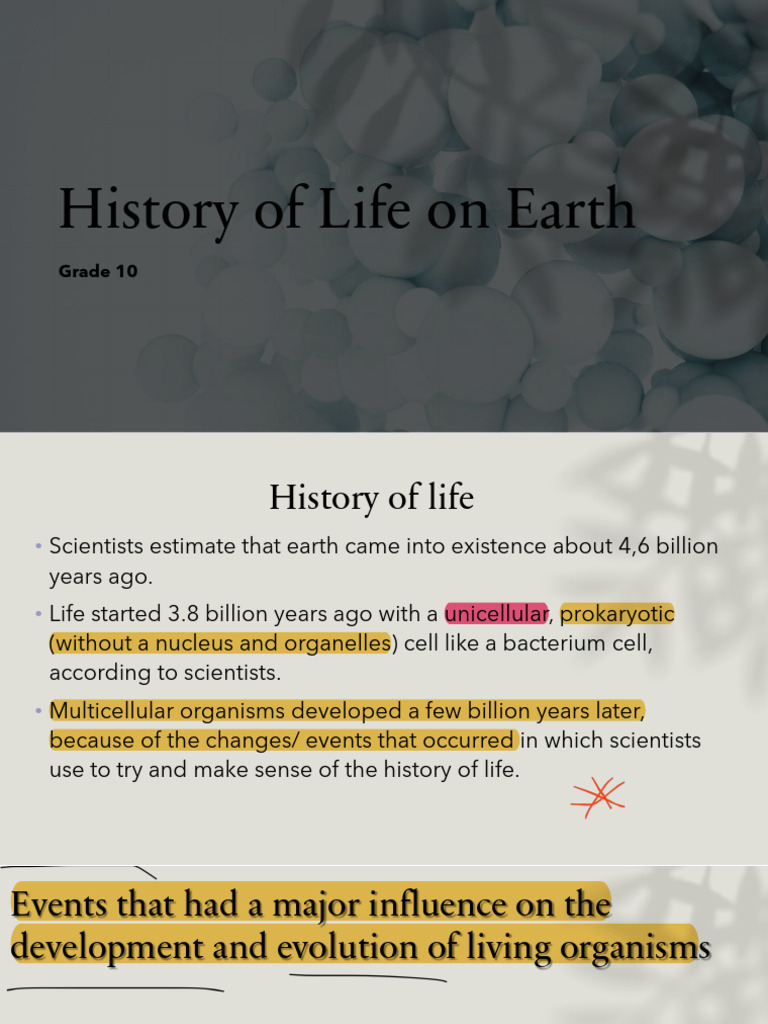 Evolution of Life on Earth Explained | PDF | Geologic Time Scale | Ice Age