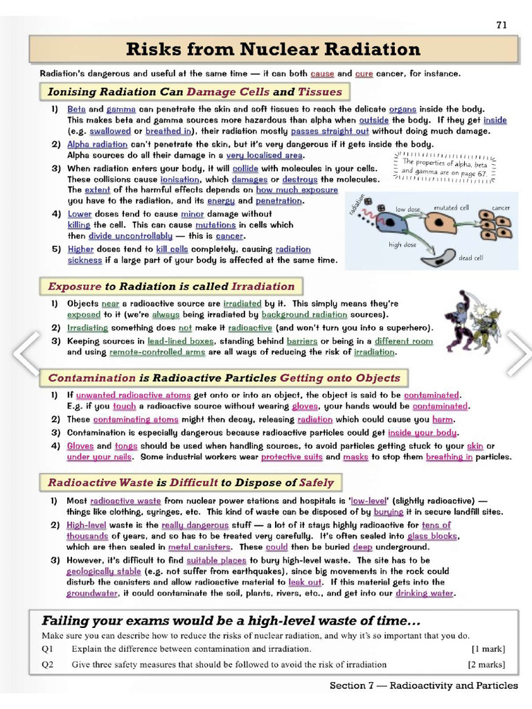 Section_7-Radioactivity-1-3 | PDF