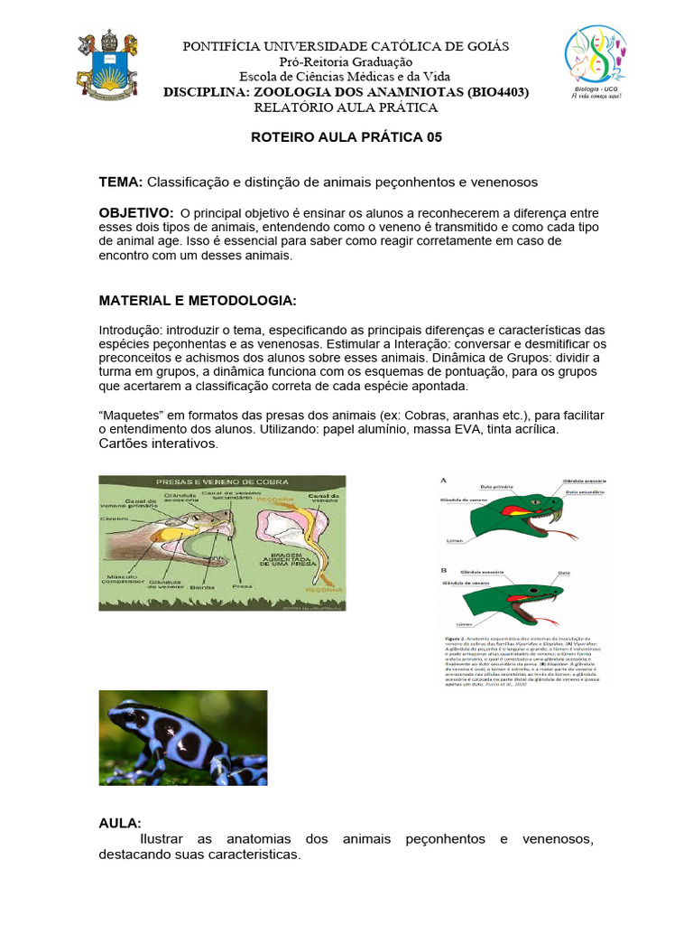Roteiro%20Aula%20Pr%C3%A1tica%20Raquel%20Paix%C3%A3o | PDF