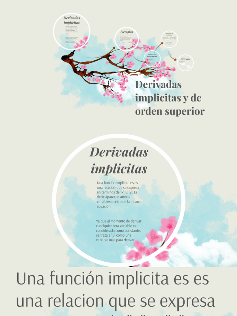 12.- Derividas Implicitas y de Orden Superio (1) | PDF