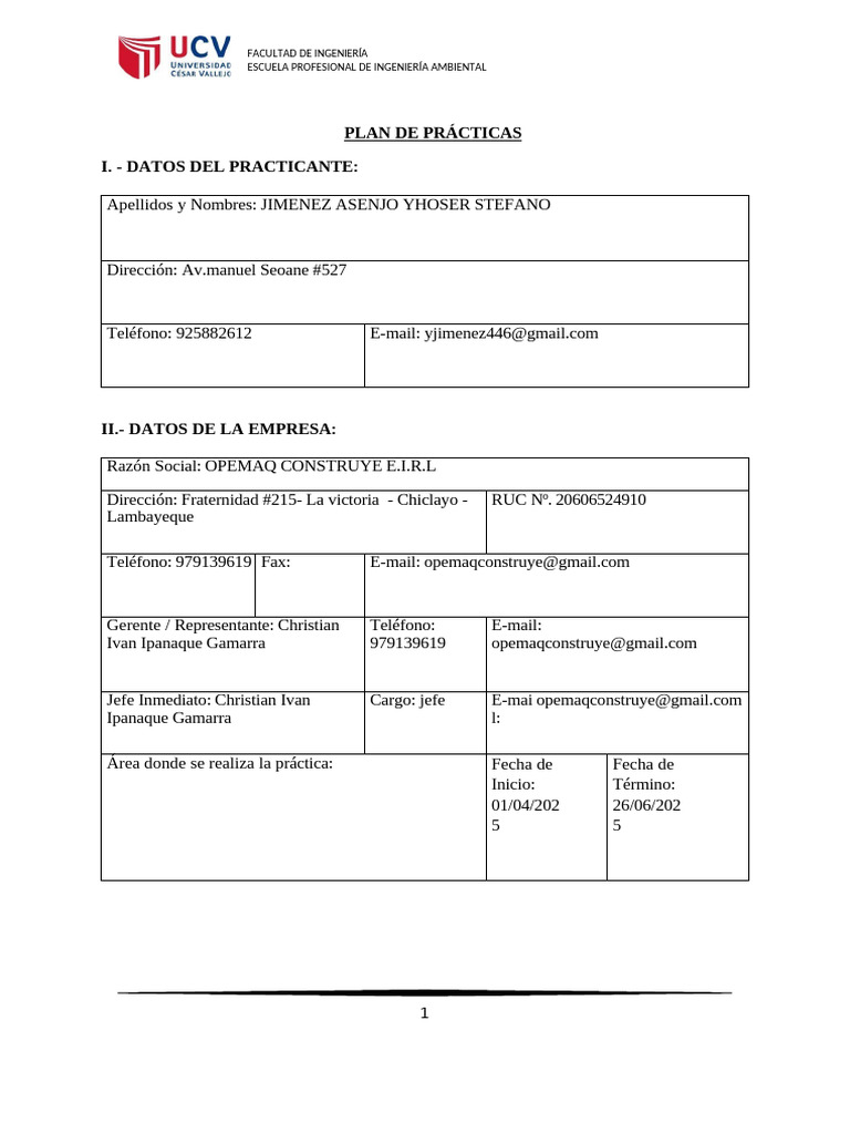 Formato 06 - Plan de Prácticas | PDF