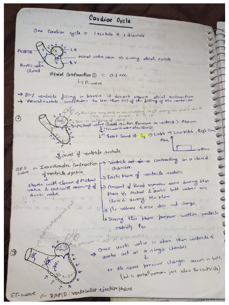 Cvs | PDF
