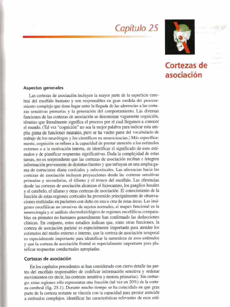 Neurociencia Purves Optimizado-681-707 | PDF