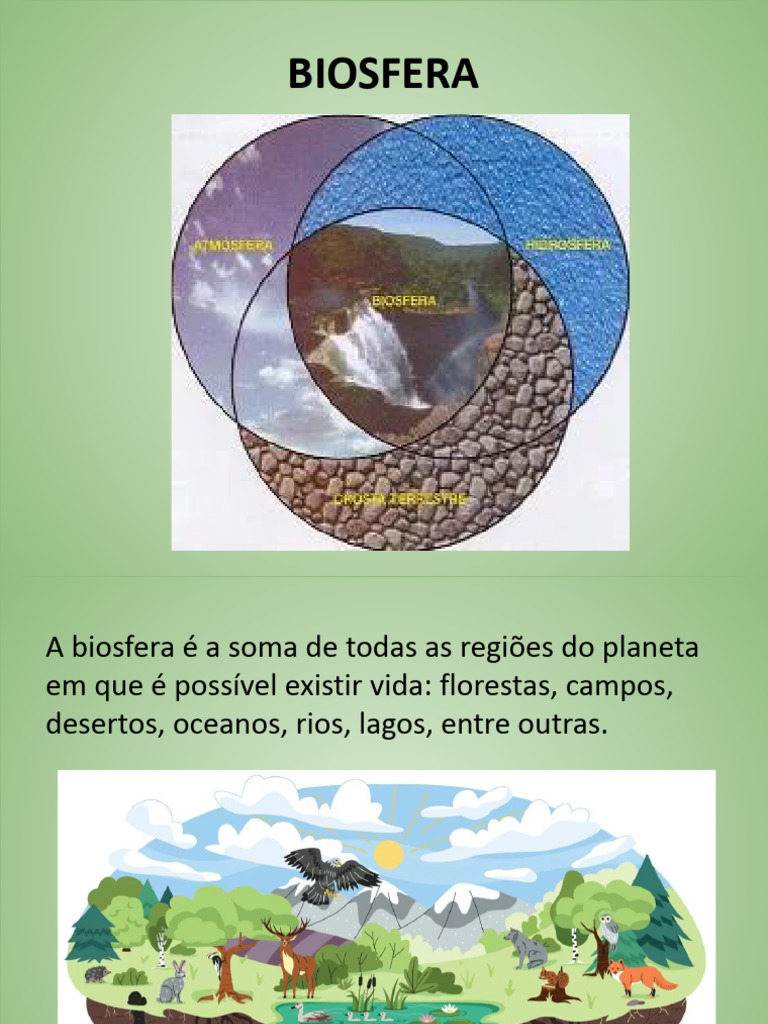 Biosfera | PDF | Food Web | Ecologia