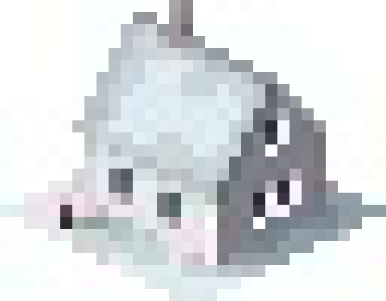 Sample Winter BMP | PDF