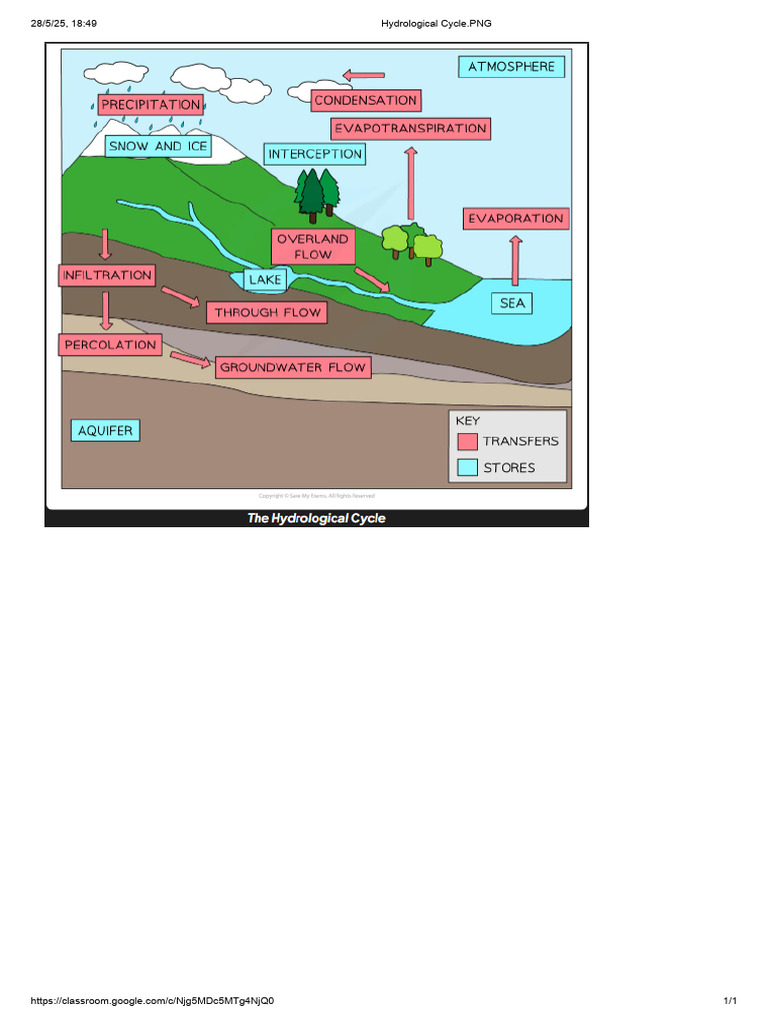 Hydrological Cycle - PNG | PDF