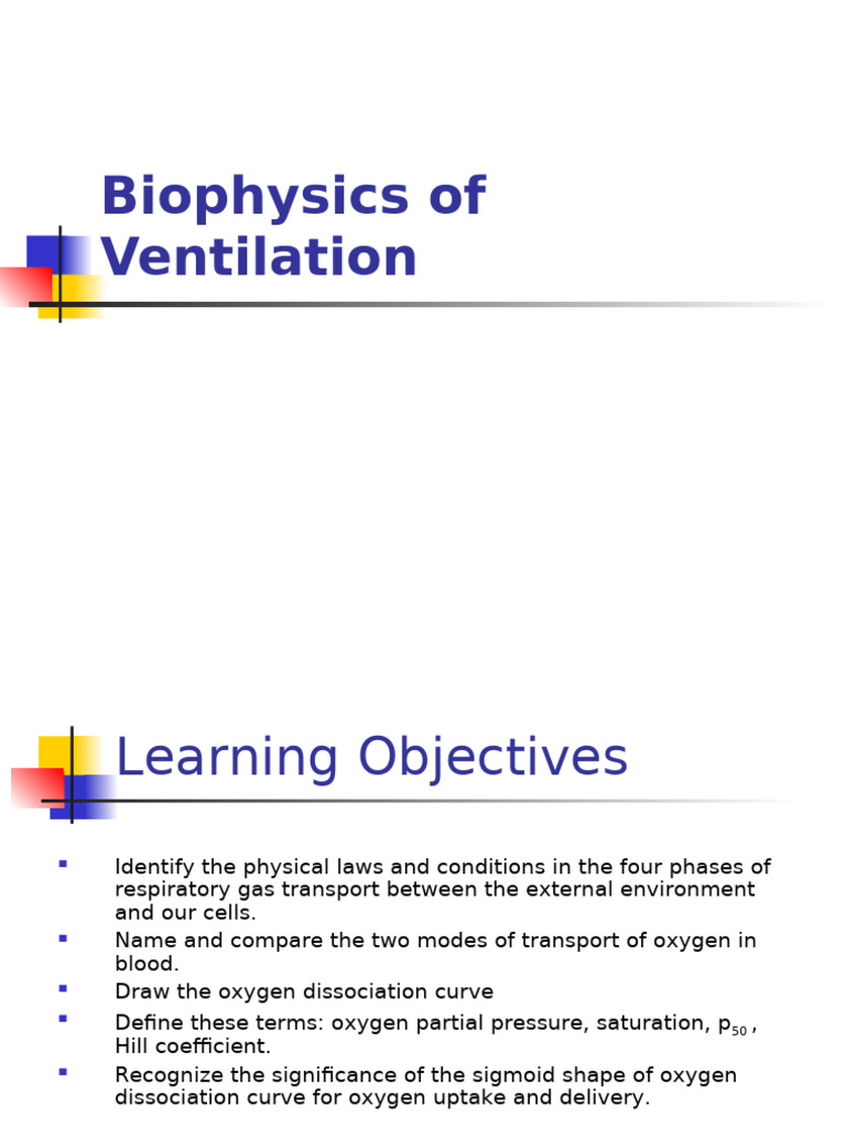Biophysics of Ventilation2019 | PDF | Respiratory System | Breathing