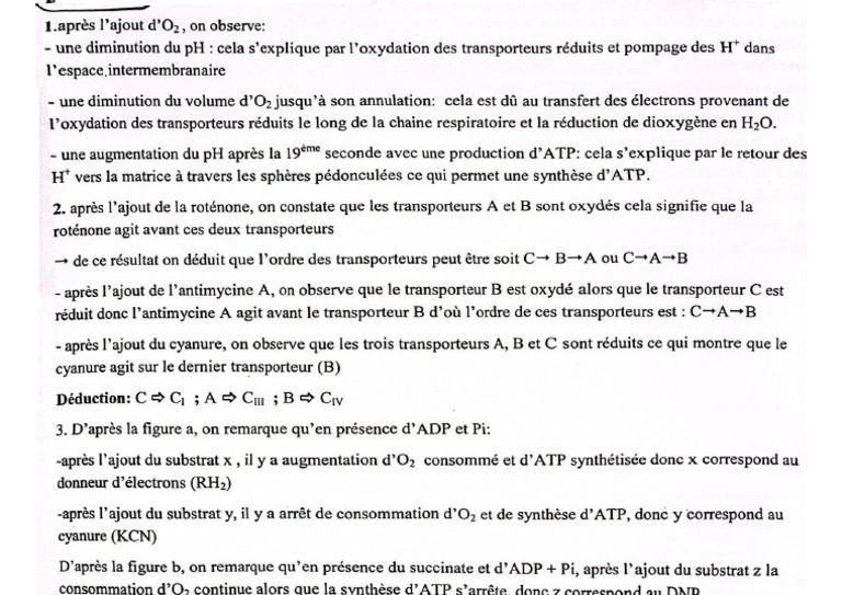 Correction KCN | PDF