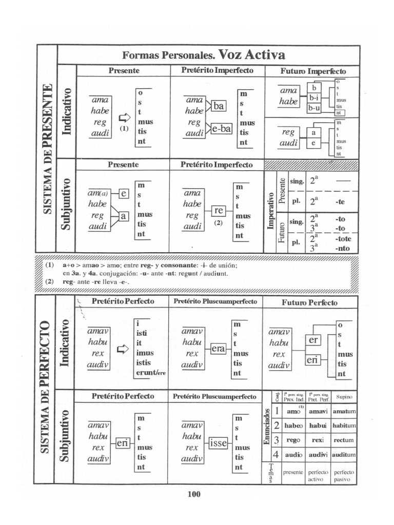 03.2. Conjugación de Los Verbos Regulares | PDF