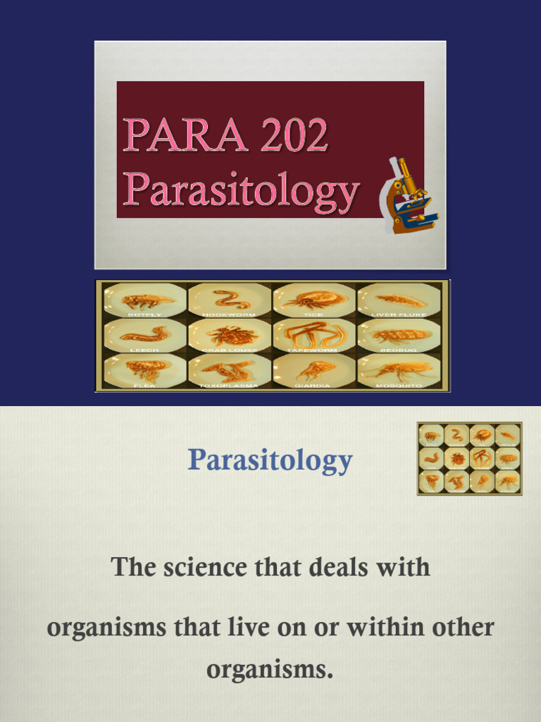 Characteristics of Parasites Helminthes, Trematoda PARA 202 2023 | PDF ...