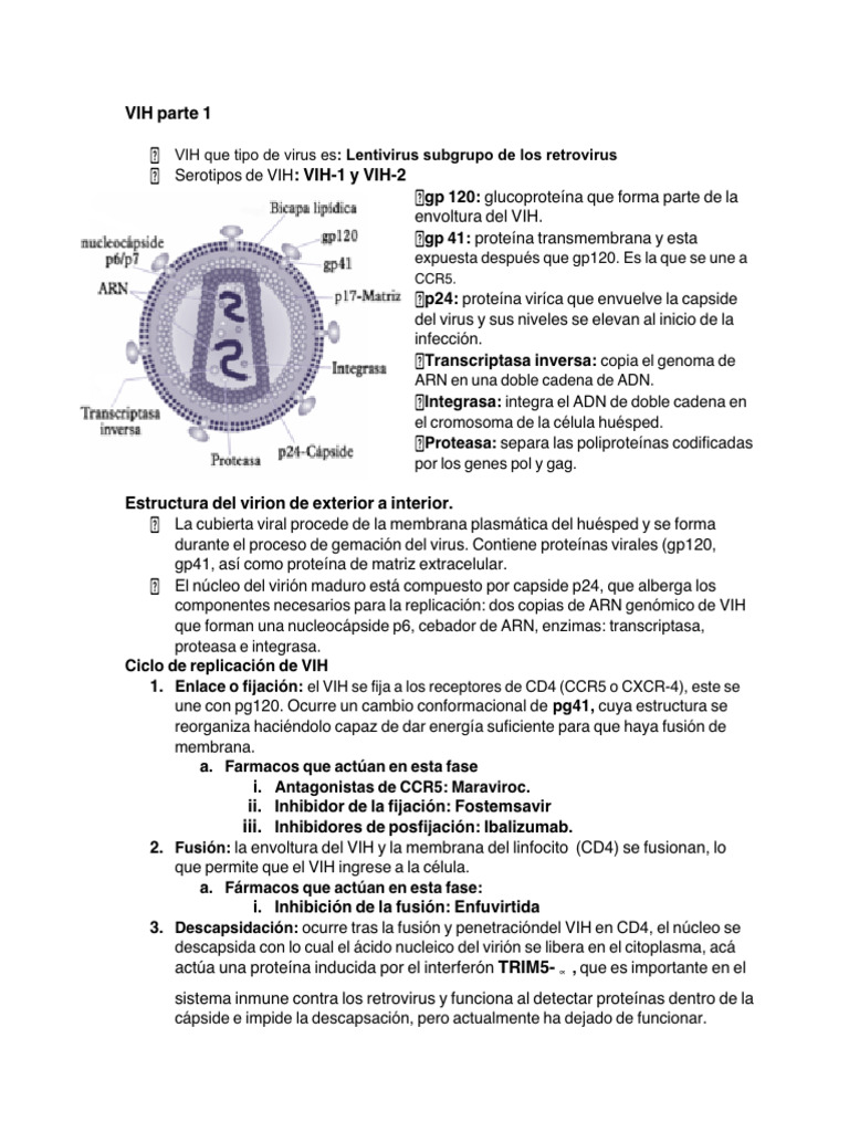 Estructura y Ciclo de Replicación del VIH | PDF | VIH | Virus