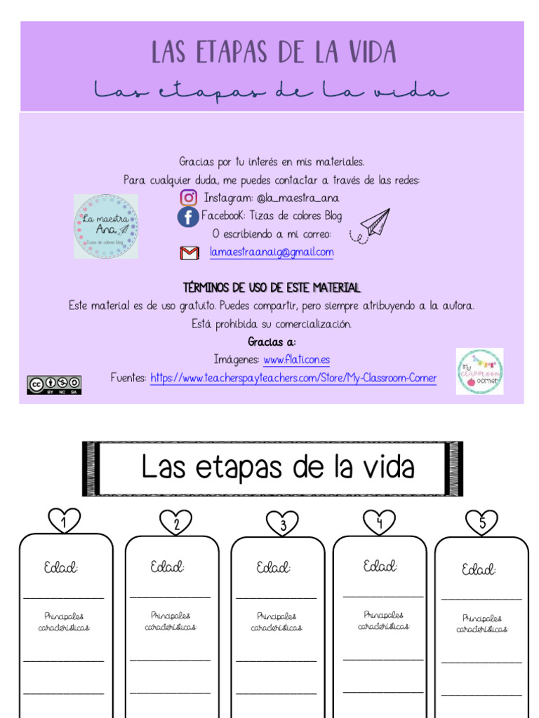 Las Etapas de La Vida | PDF