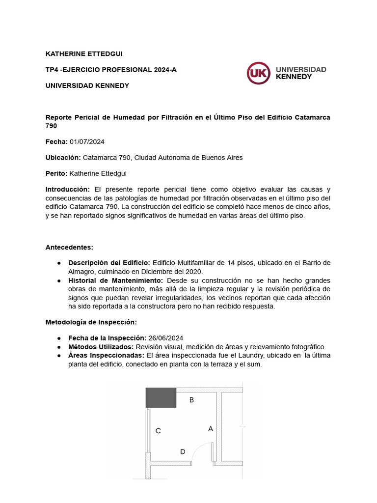 Tp4 - Ejercicio Profesional-Reporte Pericial | PDF