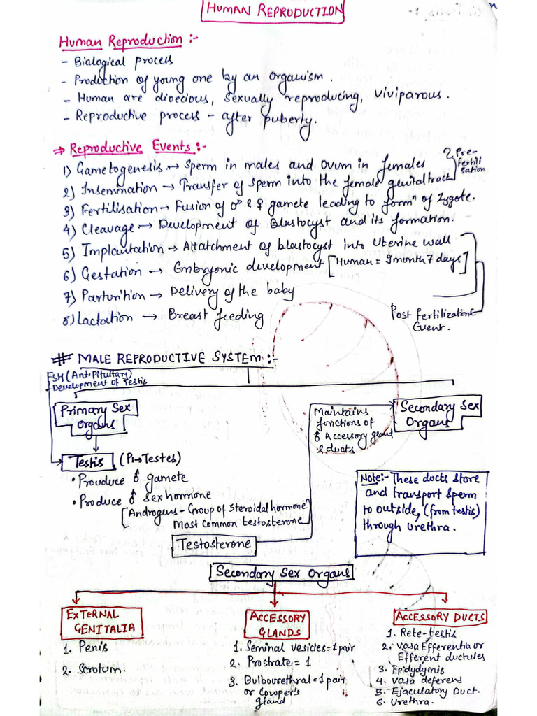 Reproduction and Reproductive Health | PDF