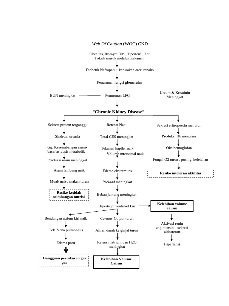 WOC-CKD Herliana Salebew | PDF