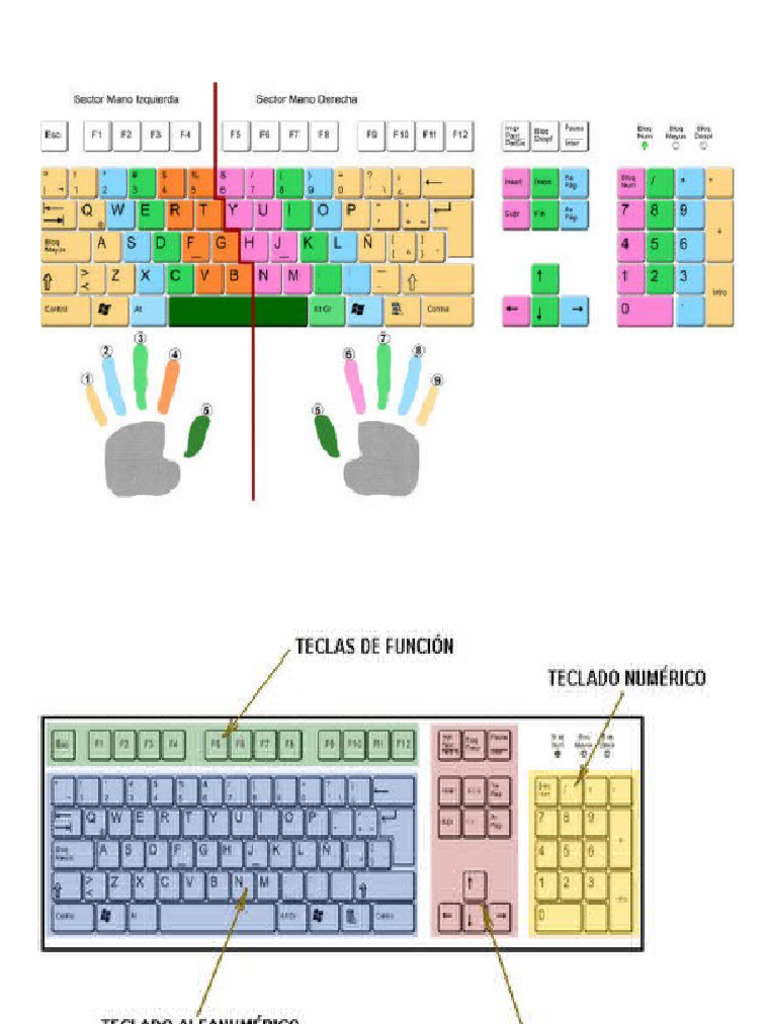 teclado y sus partes | PDF
