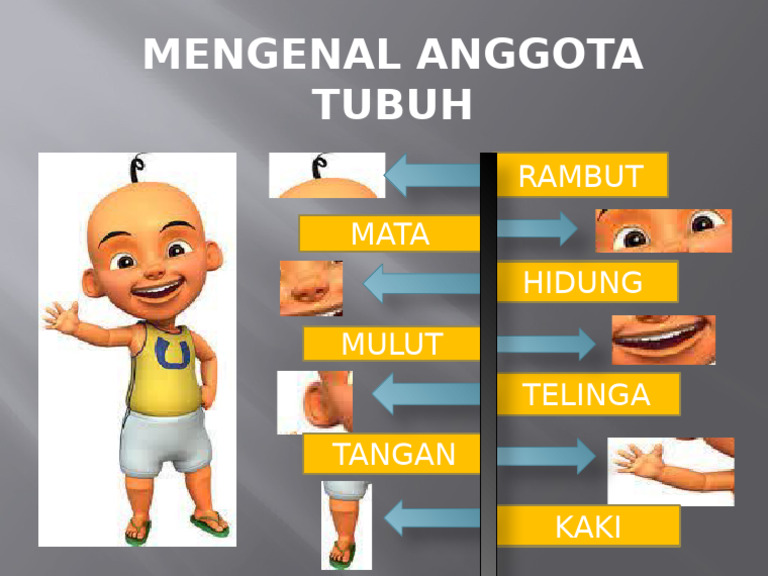 Mengenal Anggota Tubuh | PDF