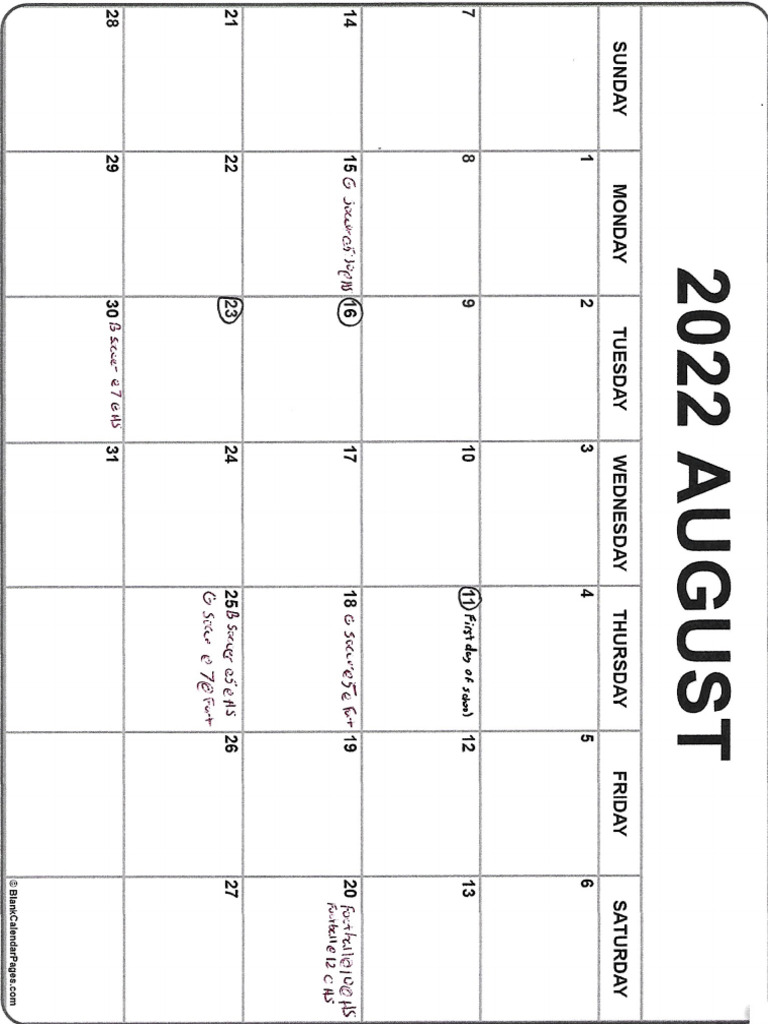 August Games | PDF