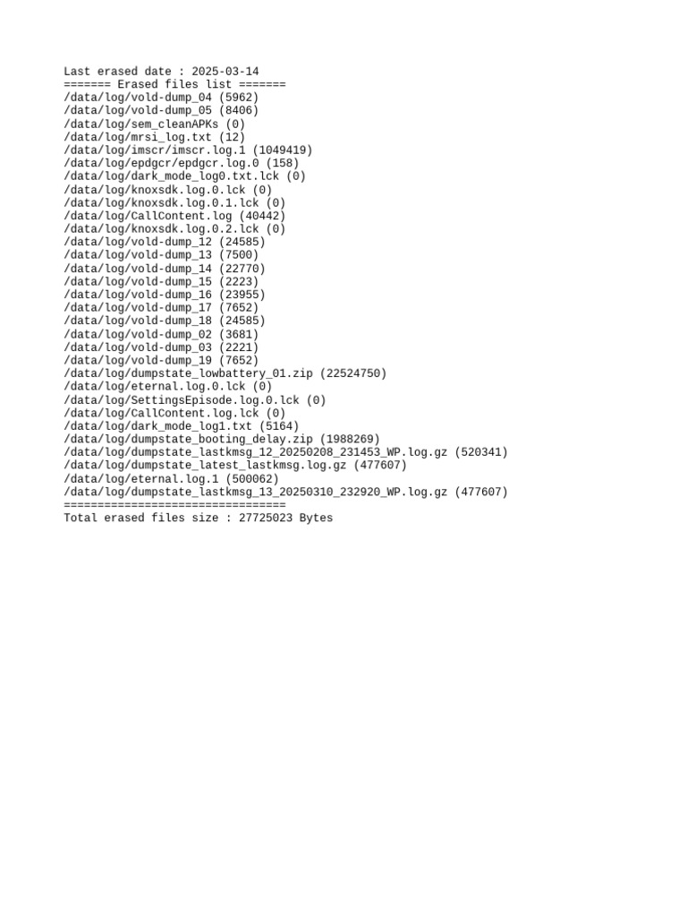Erased Files Report Summary | PDF